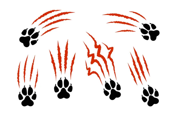 Tiger Paw Scratch