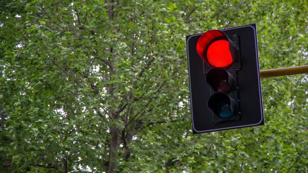 Red traffic light — Stock Photo © inhabitant #2842780