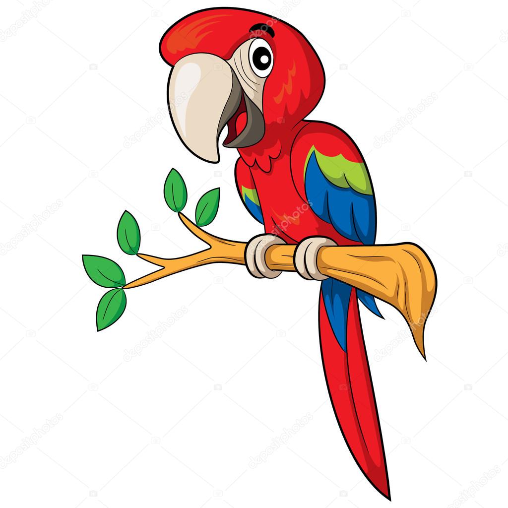 Clipart Di Pappagallo