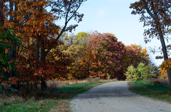 Beautiful Fall Landscape Country Road Michigan Usa — Stock Photo ...