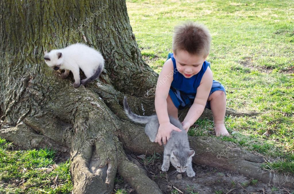 Boy chasing kittens — Stock Photo © inyrdreams #34700253