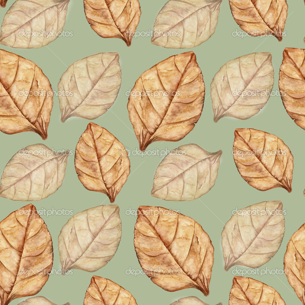 Seamless pattern with tobacco leaf — Stock Photo © Rina_Ro #45133861