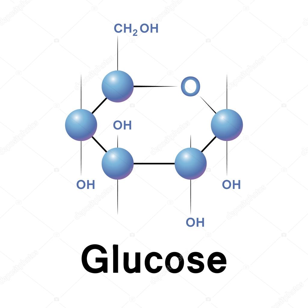 Sugar Molecule Model