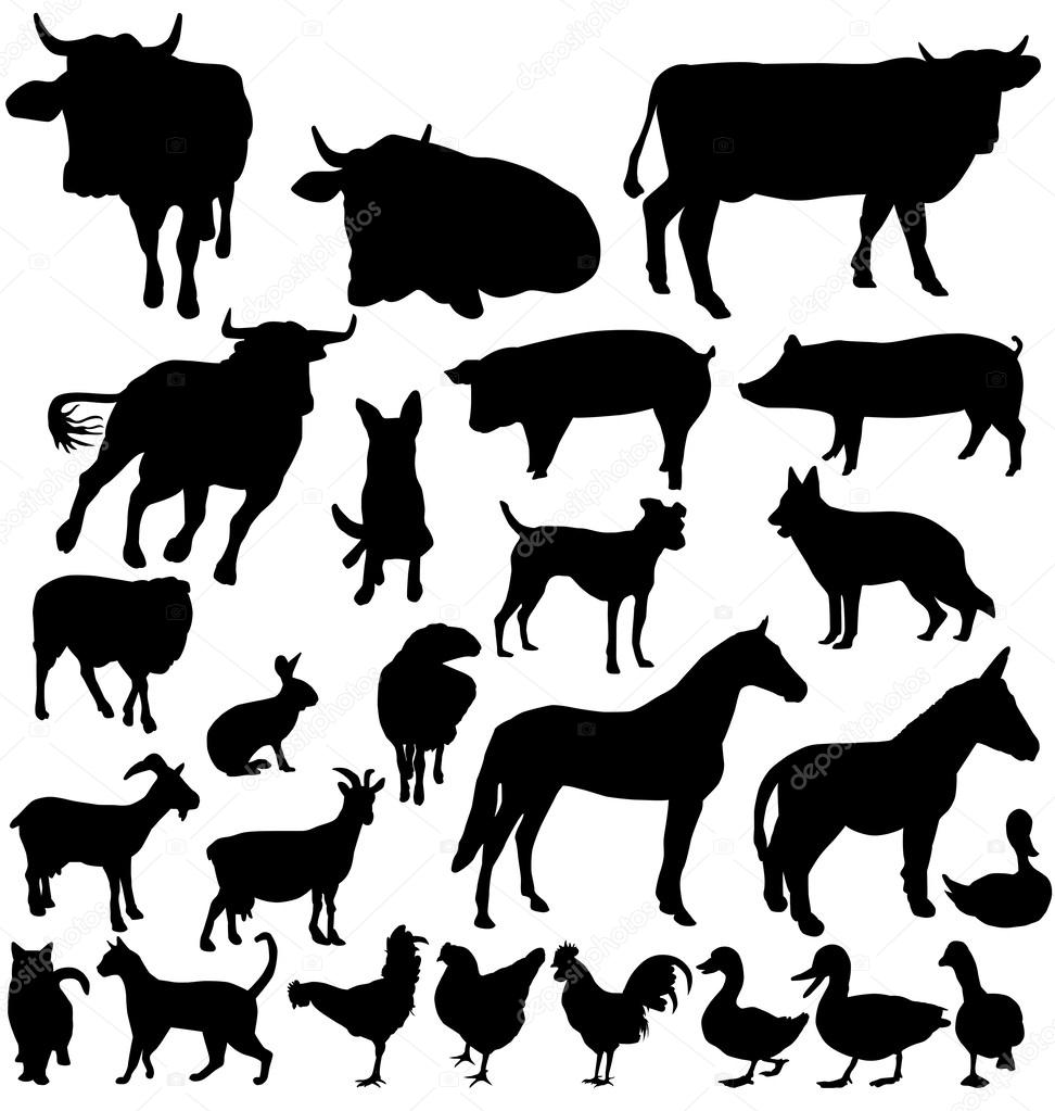 Farm animals set — Stock Vector © kamphi #31299063