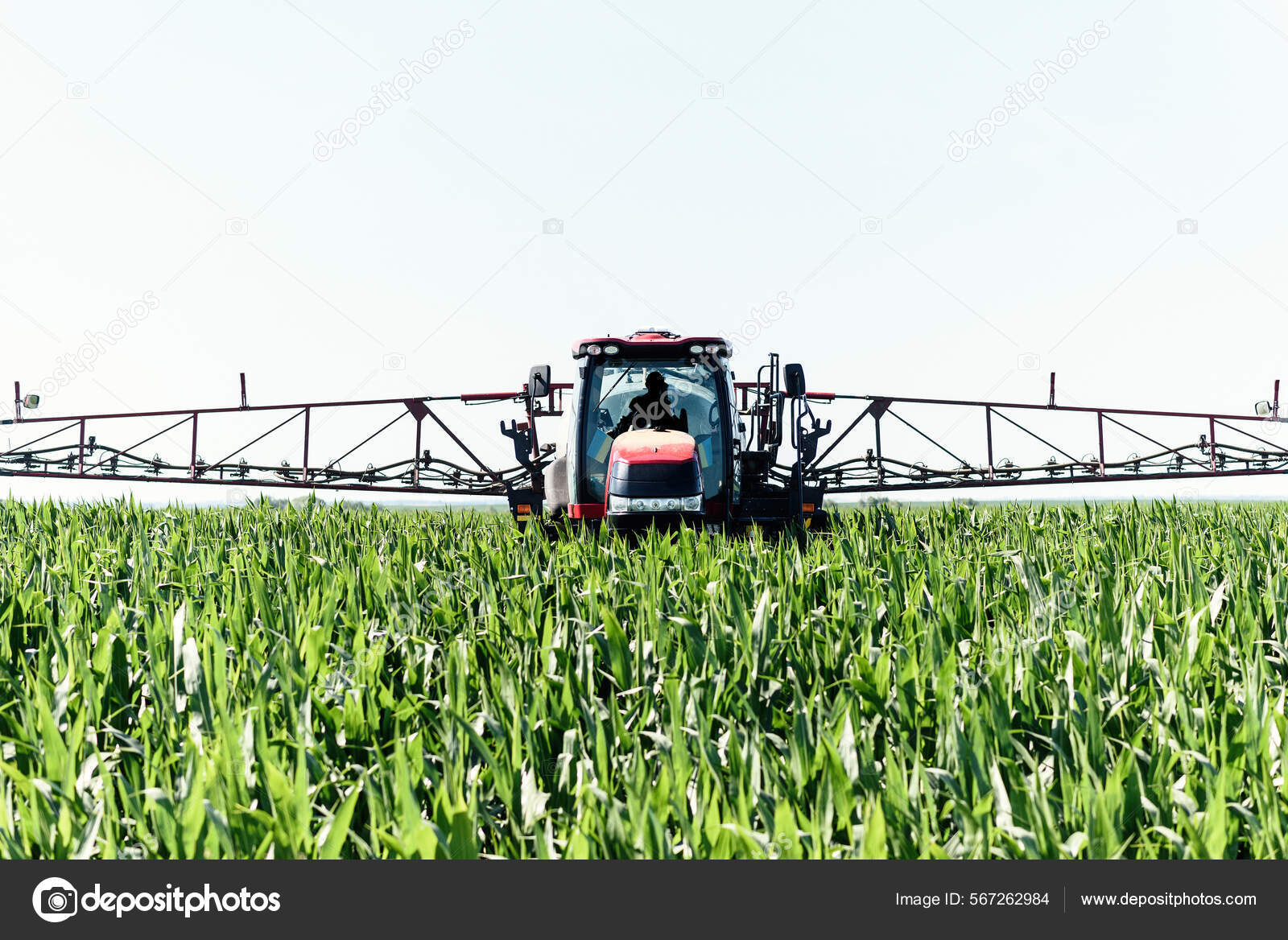 Self Propelled Sprayer Sprays Green Corn Field Front View Side Stock ...