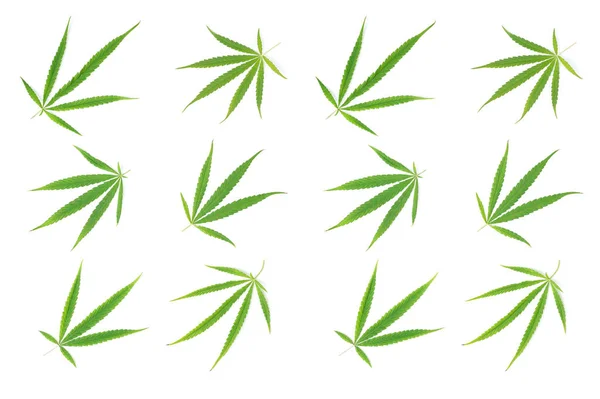 Weed plants Stock Photos, Royalty Free Weed plants Images | Depositphotos