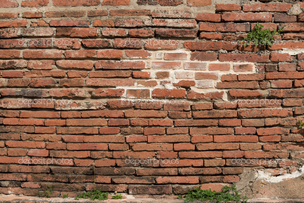 Full color brick wall Stock Photo by ©AEyZRiO 40097249