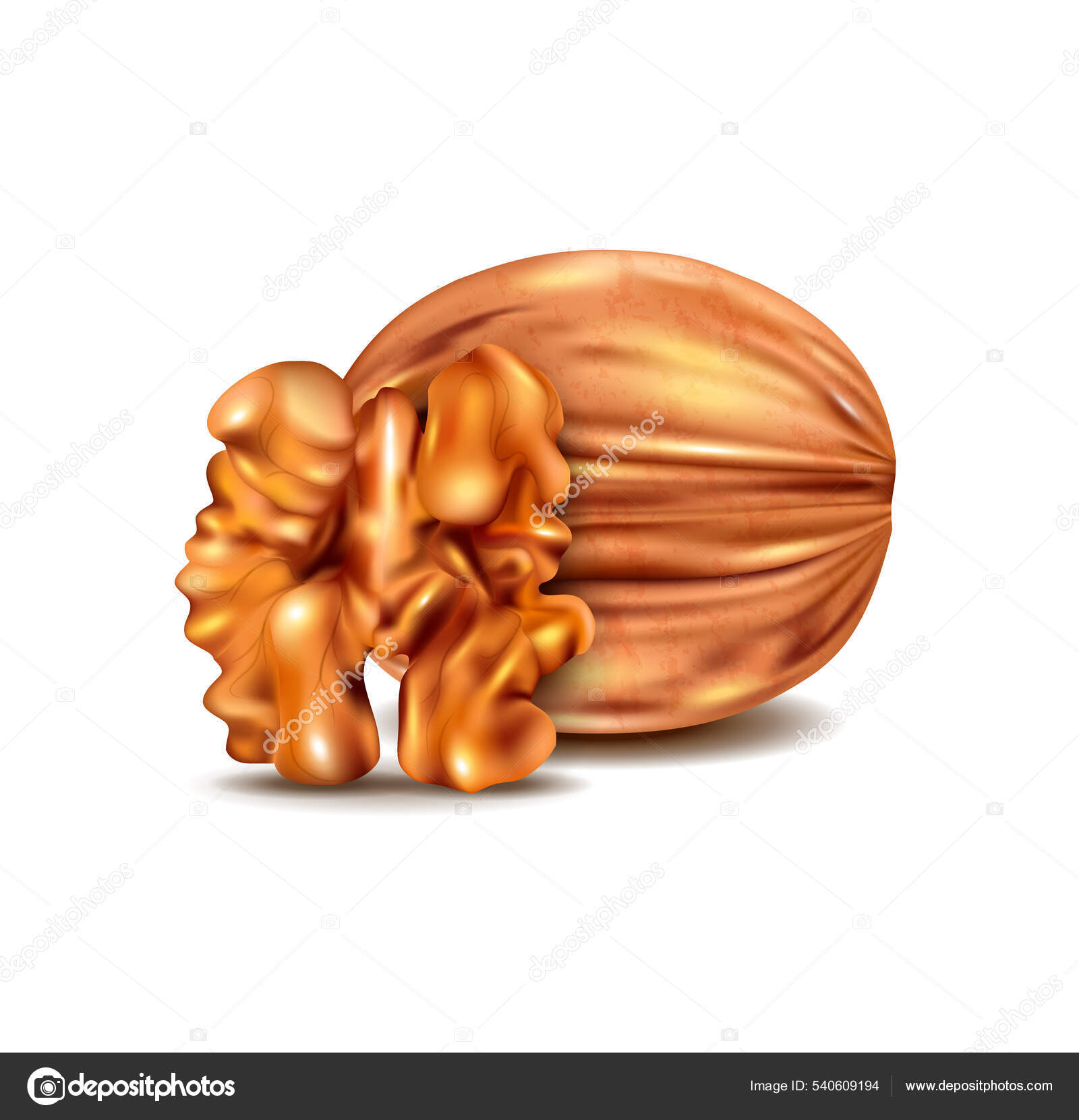 Realistic nut concept Stock Vector by ©mentalmind 540609194