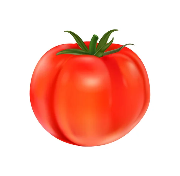 Tomate animado imágenes de stock de arte vectorial | Depositphotos