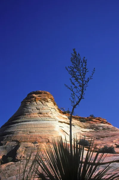 Lost dutchman Stock Photos, Royalty Free Lost dutchman Images ...