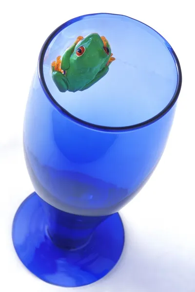 ᐈ A glass frog stock pictures, Royalty Free glass frog pics | download ...