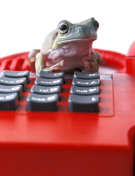 Numerical Stock Photos, Royalty Free Numerical Images | Depositphotos®