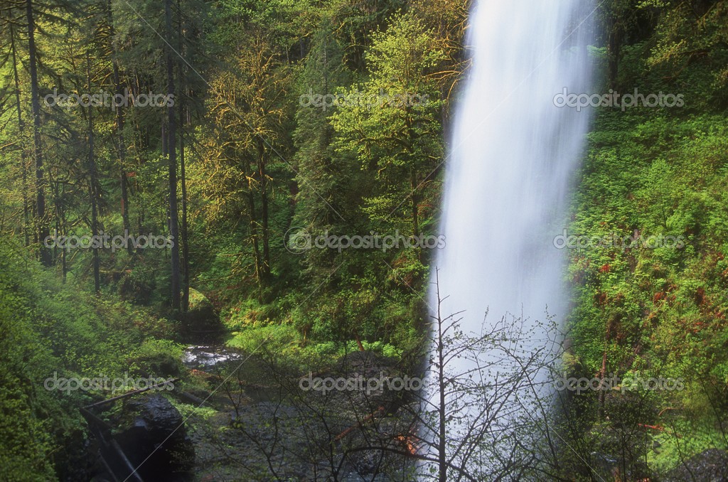 Woodland Waterfall Stock Photo by ©DesignPicsInc 31610049