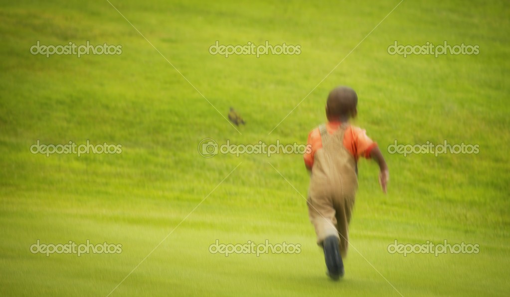 Boy Chases Bird Stock Photo by ©DesignPicsInc 31617305