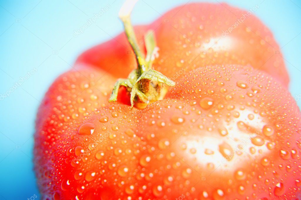 Ripe Tomato Stock Photo by ©DesignPicsInc 31622903