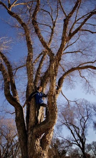 Tree person Stock Photos, Royalty Free Tree person Images | Depositphotos®