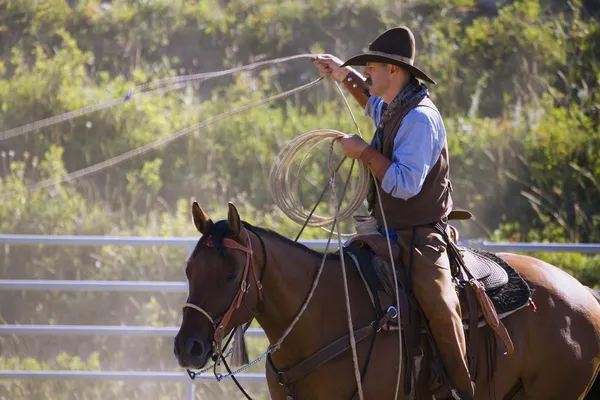 Cowboy With Lasso Stock Photo by ©DesignPicsInc 31615619