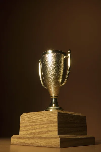 Trophy | Trophy — Stock Photo © jayfish #9412421