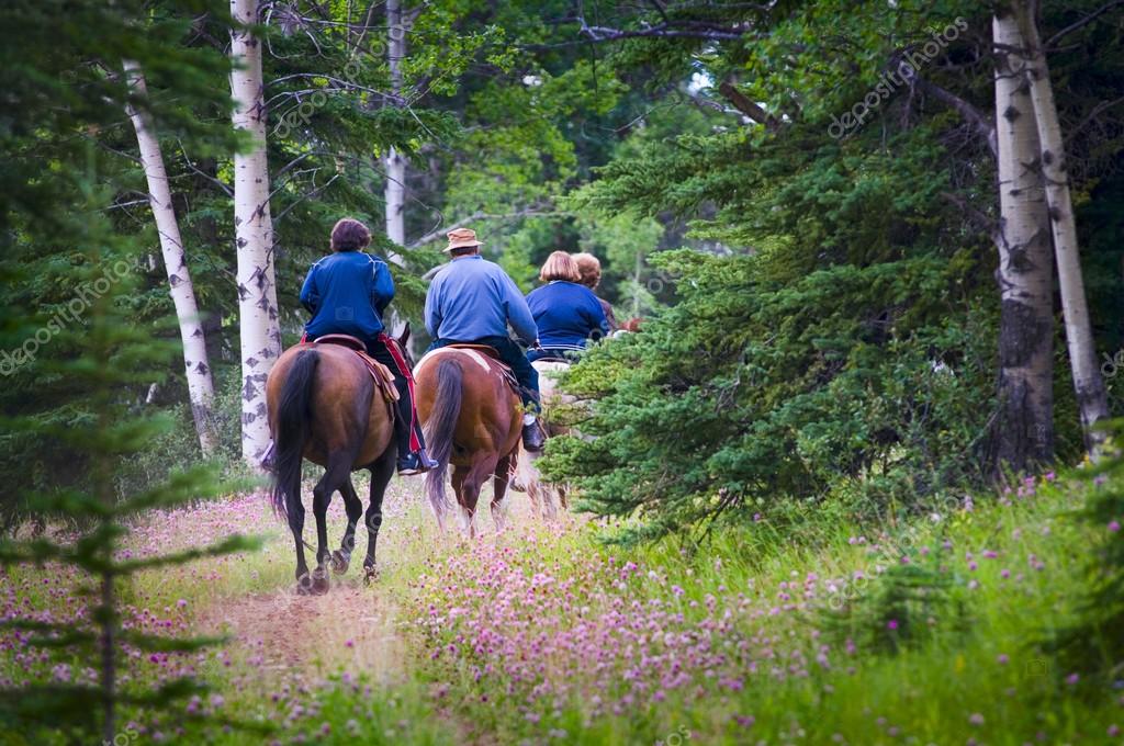 People Trail Riding In Forest — Stock Photo © DesignPicsInc #31755119