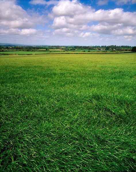 62 Loch garman Stock Photos, Loch garman Images | Depositphotos®