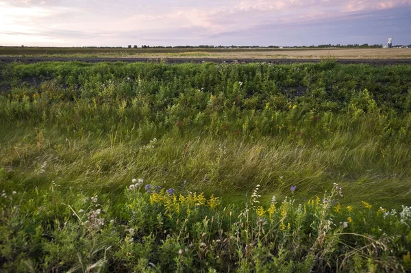 Canadian prairies Stock Photos, Royalty Free Canadian prairies Images ...