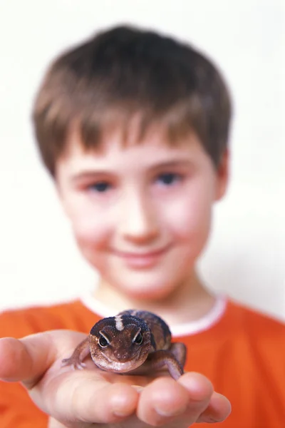 Boy with frog Stock Photos, Royalty Free Boy with frog Images ...