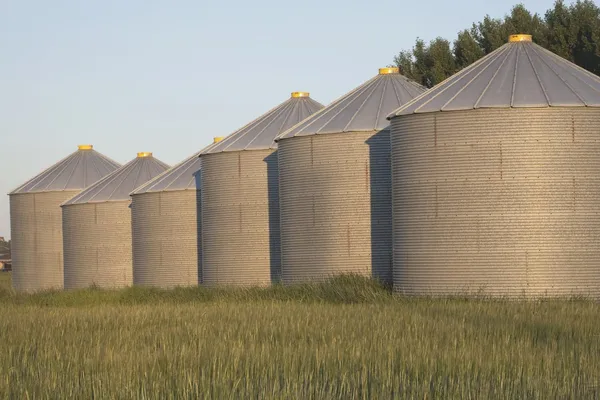 Metal grain Stock Photos, Royalty Free Metal grain Images | Depositphotos