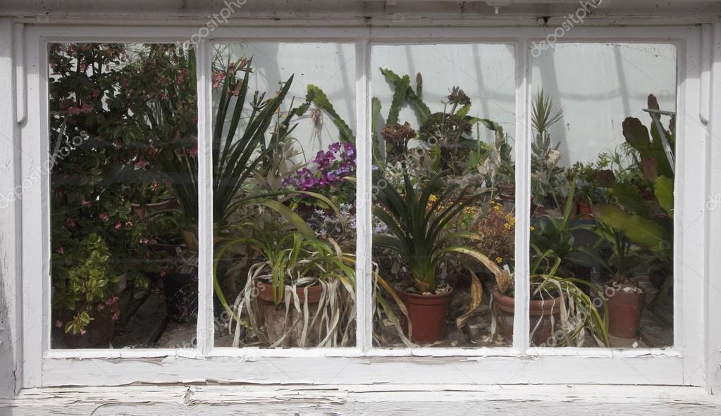 Window With Plants Stock Photo by ©DesignPicsInc 31939433