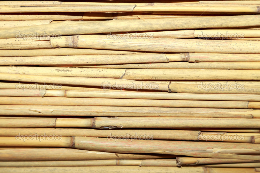 Bamboo texture Stock Photo by ©aallm 34159085