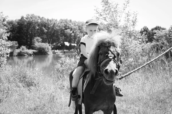 Boy equestrian Stock Photos, Royalty Free Boy equestrian Images ...