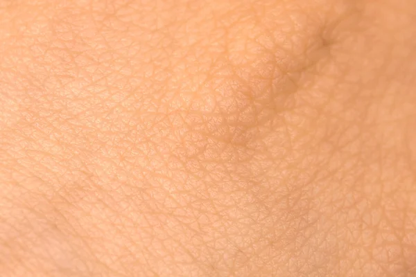 Ultrasound skin Stock Photos, Royalty Free Ultrasound skin Images ...