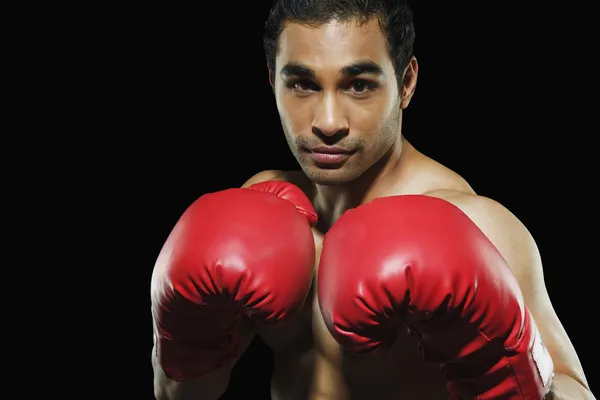 Male boxer in fighting stance — Stock Photo © imagedb_seller #33005803