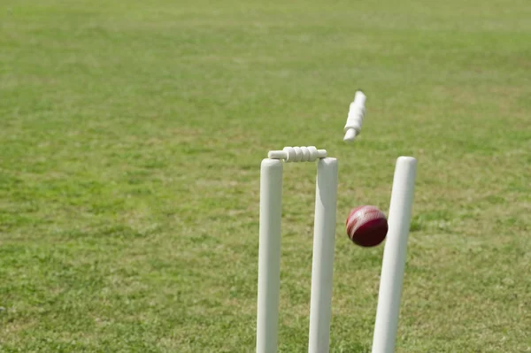 Cricket stumps Stock Photos, Royalty Free Cricket stumps Images ...