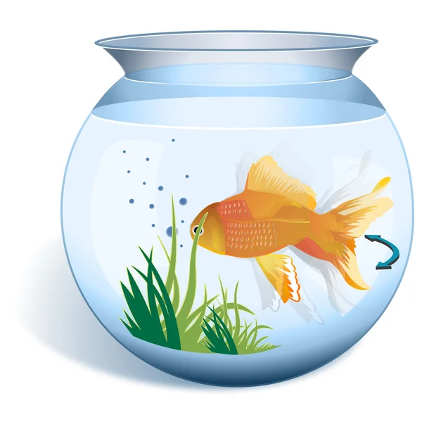 Fishbowl Stock Photos & Royalty-Free Images | Depositphotos