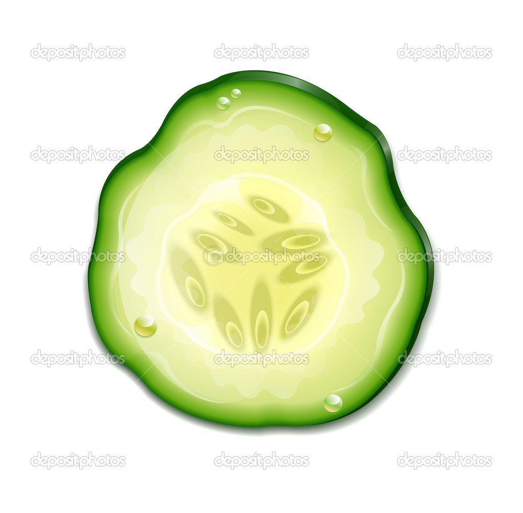 Slice Cucumber Stock Vector Image By ©prettyvectors 39112205