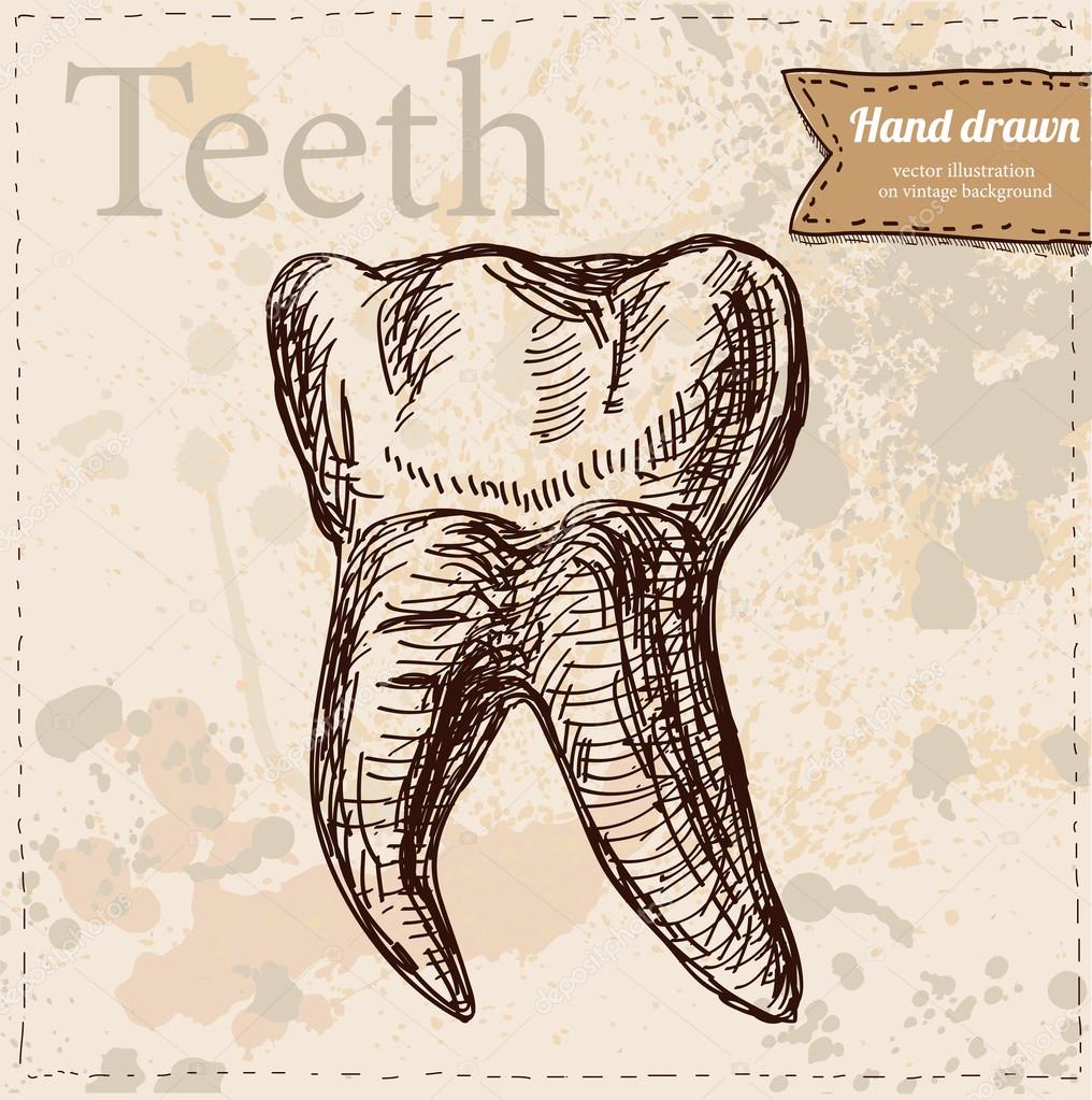 Hand drawn Tooth — Stock Vector © iriskana #36833079