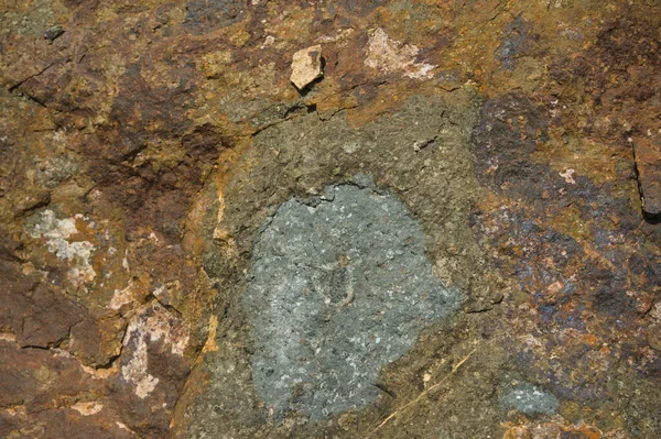 Pata de dinossauro Stock Photos, Royalty Free Pata de dinossauro Images ...