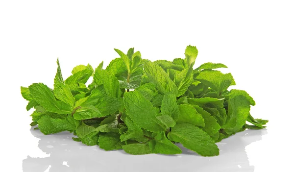 Munt kruid Stock Photos, Royalty Free Munt kruid Images | Depositphotos