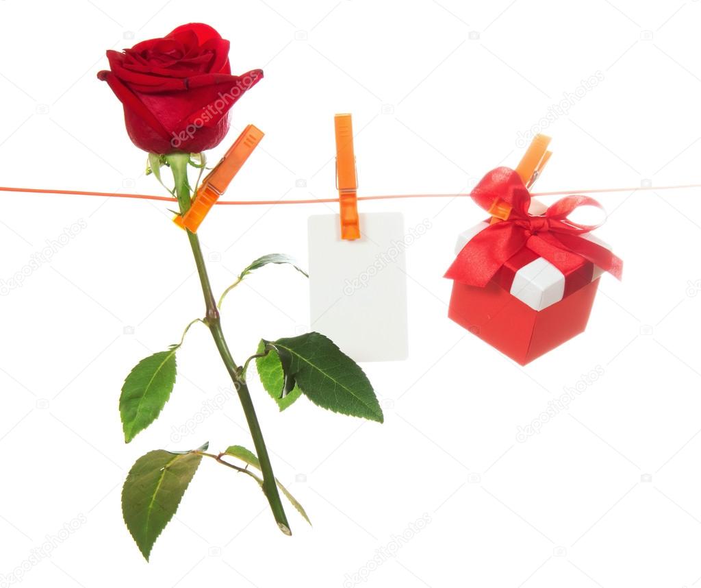 Red roses, present and name card on clothesline Stock Photo by ©Laboko ...