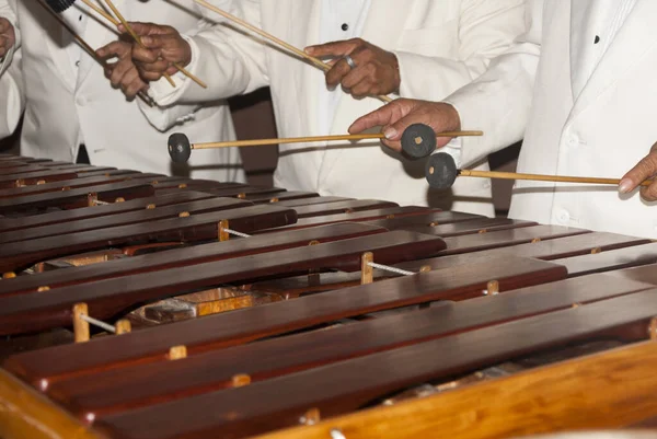 Marimba Instrument