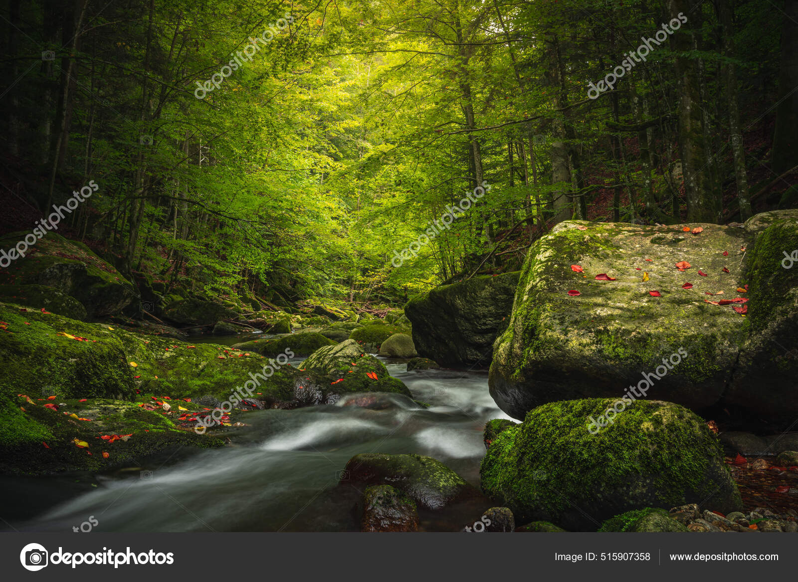 Beautiful Natural Landscape Bavarian Forest Greenery River ...