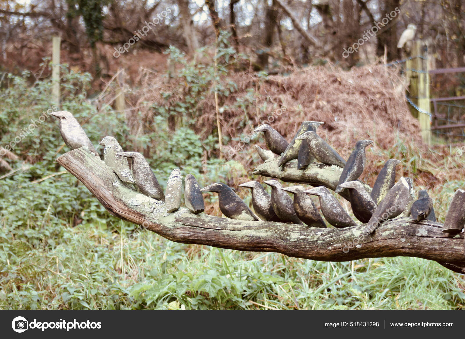 Shallow Focus Tree Branches Full Old Mossy Bird Figures — Stock Photo ...