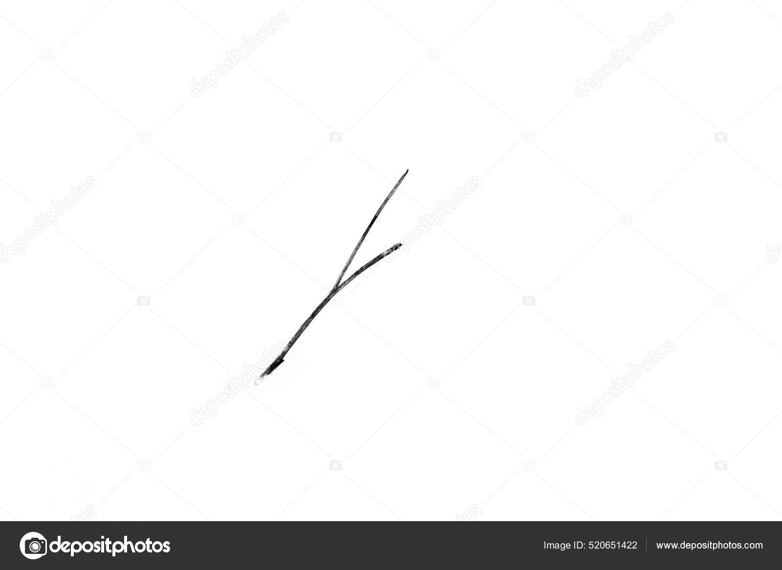 Branch Isolated White Background — Stock Photo © Wirestock #520651422