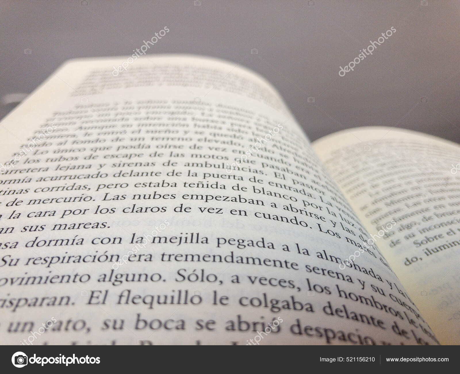 Las Páginas Libro Abierto Español — Foto de stock #521156210 © Wirestock