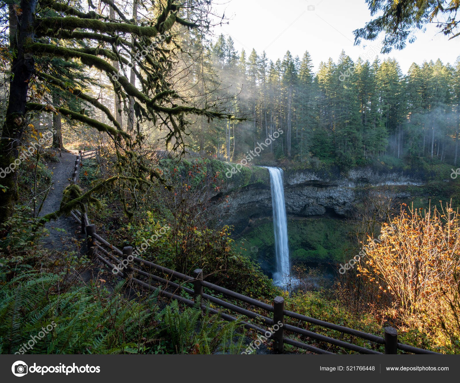 Mesmerizing View Waterfall Trees Silver Falls State Park Usa — Stock ...