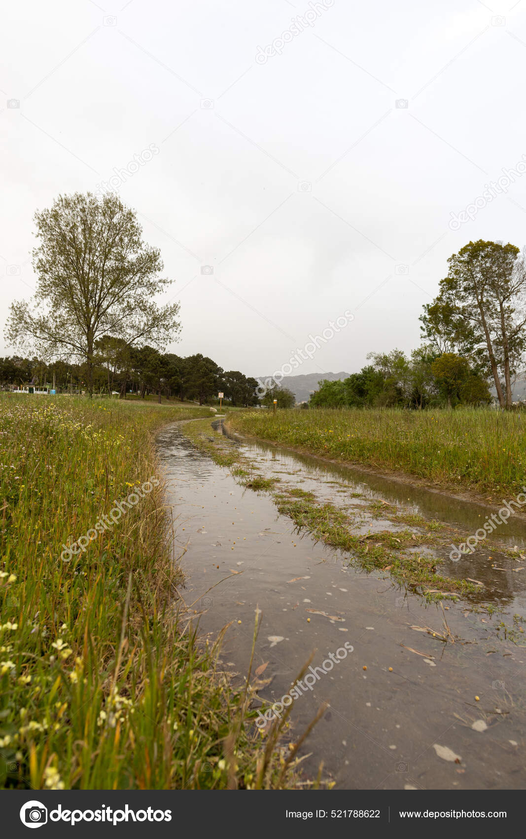 Wet Muddy Pond Park Rain — Stock Photo © Wirestock #521788622