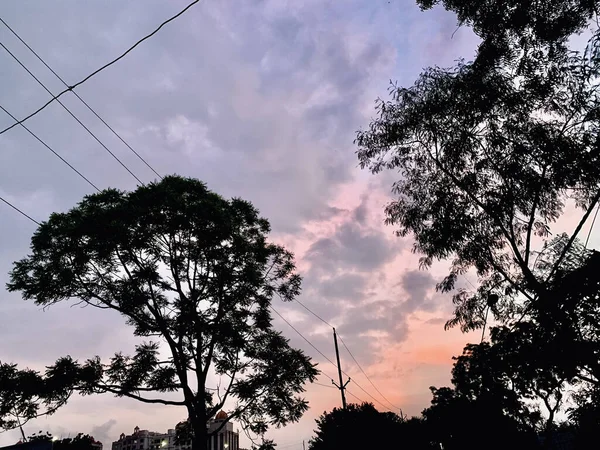 Bambu sky Stock Photos, Royalty Free Bambu sky Images | Depositphotos