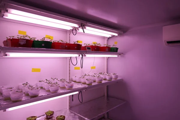 Hydroponic grow room Stock Photos, Royalty Free Hydroponic grow room ...
