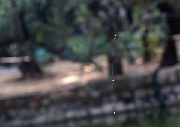 Raabta rajkumar rao images libres de droit, photos de Raabta rajkumar ...