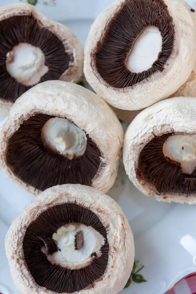 Grote portobello champignons fotos de stock, imágenes de Grote ...